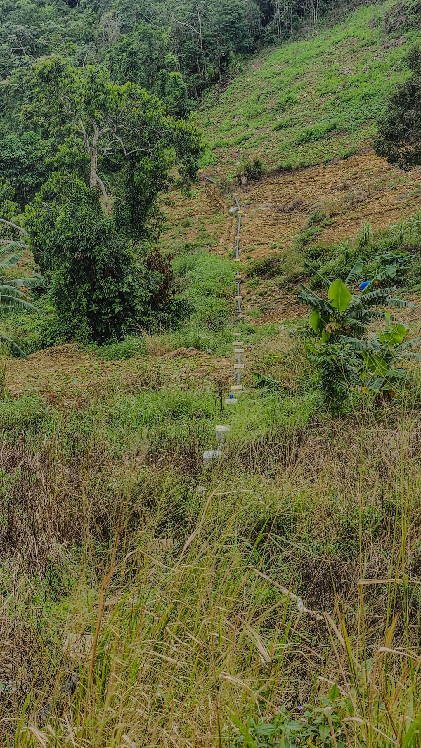 Free Hill Water Supply - Rural Water Supply Limited